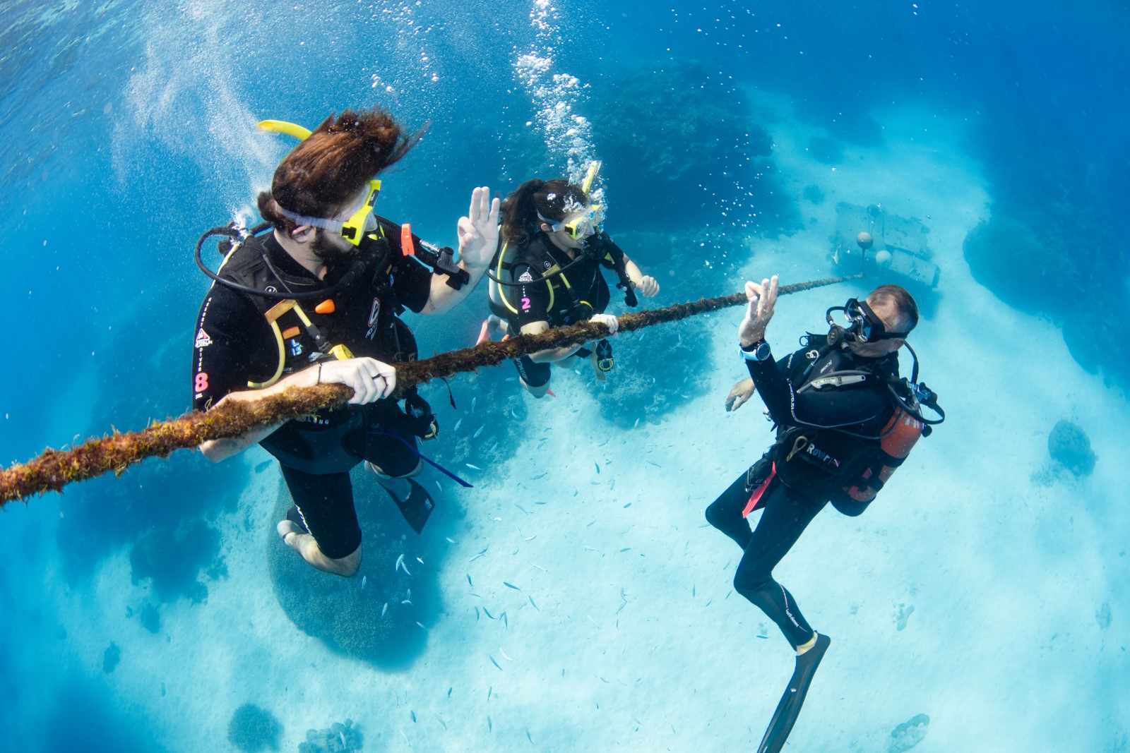 Silverswift Outer Barrier Reef Snorkel and Dive Cruise peterpans.com